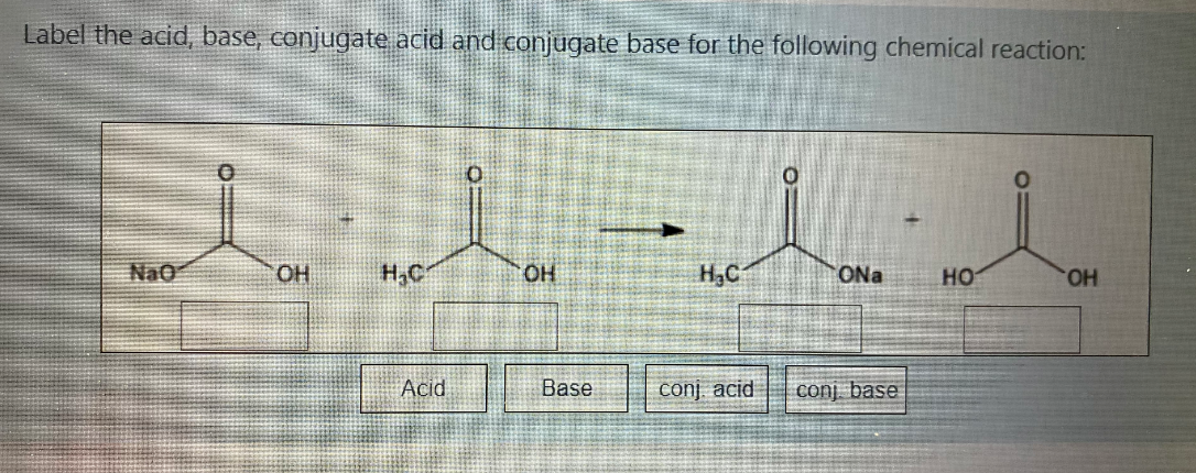 Solved Label the acid, base, conjugate acid and conjugate | Chegg.com