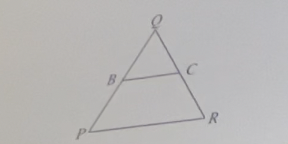 Solved In the following equilateral triangle PQR, segment BC | Chegg.com