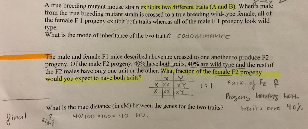 Solved GENETICS: please explain the Map unit portion. THANK | Chegg.com