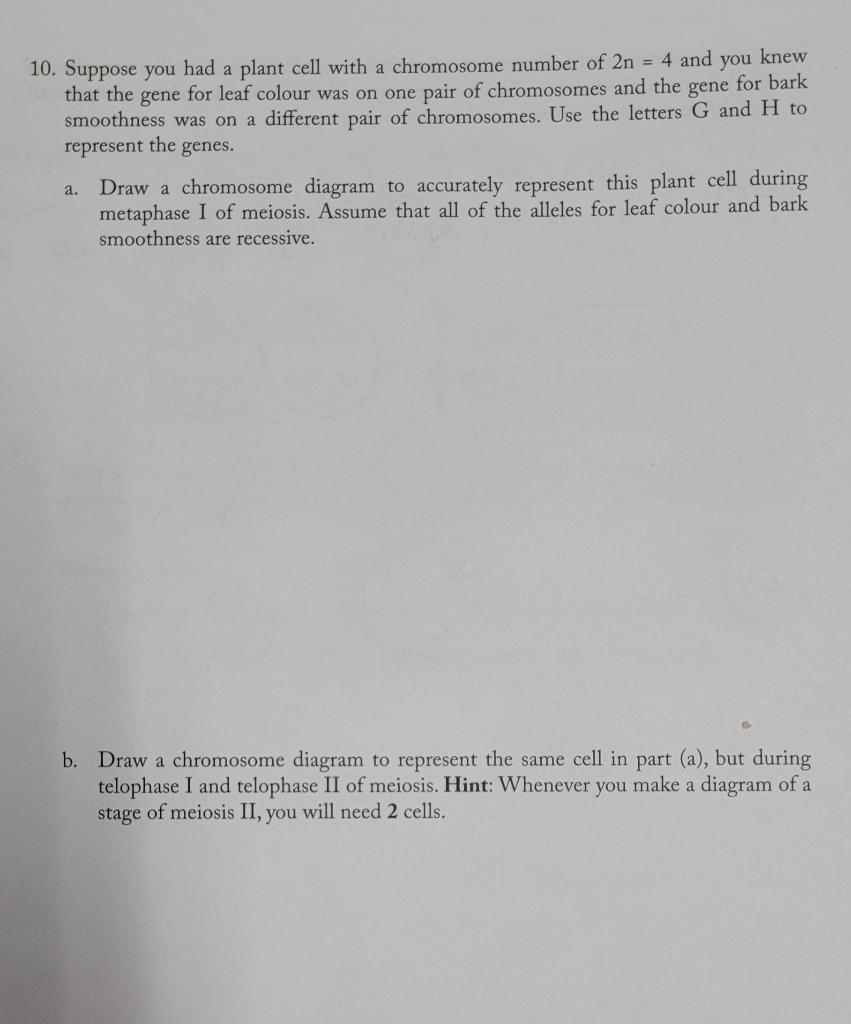 Solved 10. Suppose you had a plant cell with a chromosome | Chegg.com