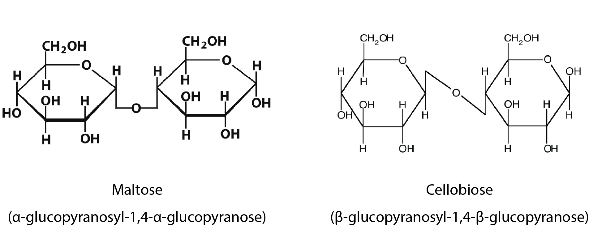 Solved Question 15 Which option best explains the difference | Chegg.com