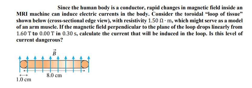 Solved Since the human body is a conductor, rapid changes in | Chegg.com