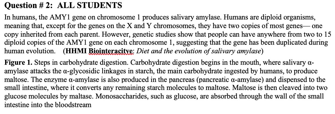 Solved Question #2: ALL STUDENTS In humans, the AMY1 gene on | Chegg.com