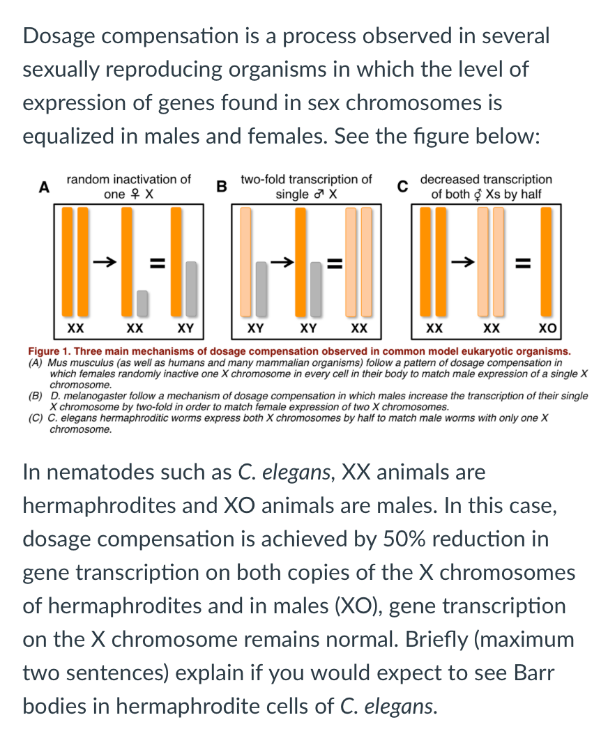 Solved Dosage compensation is a process observed in several | Chegg.com