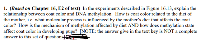 Solved (Based on Chapter 16, ﻿E2 ﻿of text) ﻿In the | Chegg.com