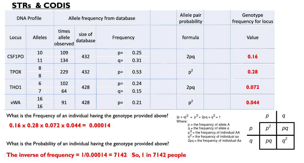 Solved STRS & CODIS DNA Profile Allele frequency from | Chegg.com