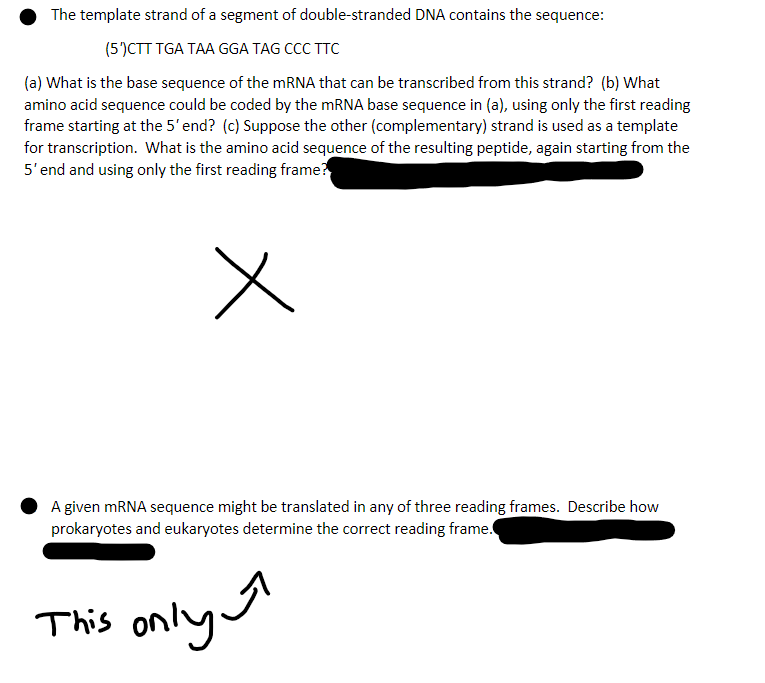 Solved The template strand of a segment of double-stranded | Chegg.com
