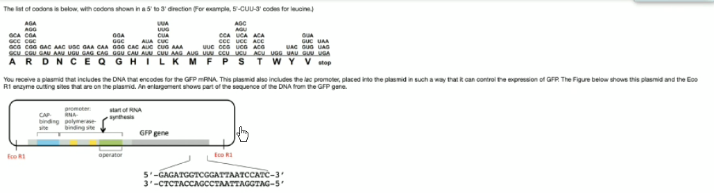Solved The list of codons is below, with codons shown in a | Chegg.com