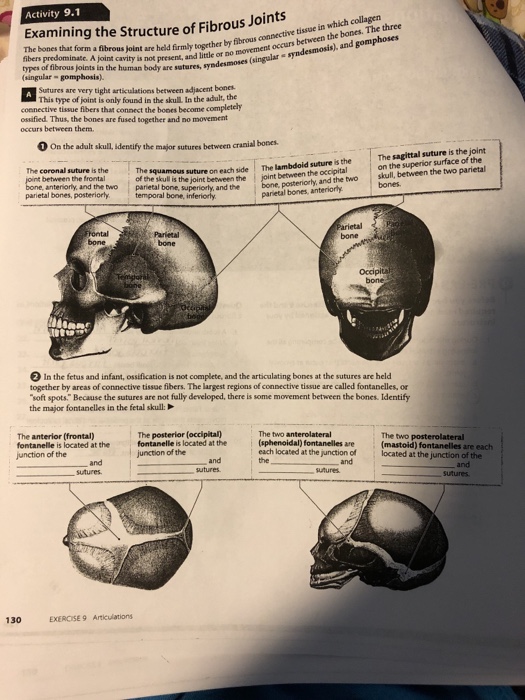 Solved Activity 9.1 Examining the Structure of Fibrous | Chegg.com