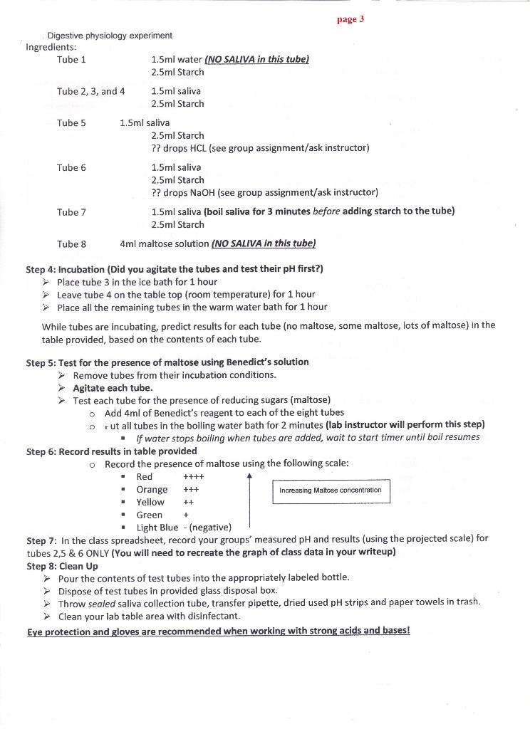 Solved Starch digestion by salivary amylase and the presence | Chegg.com