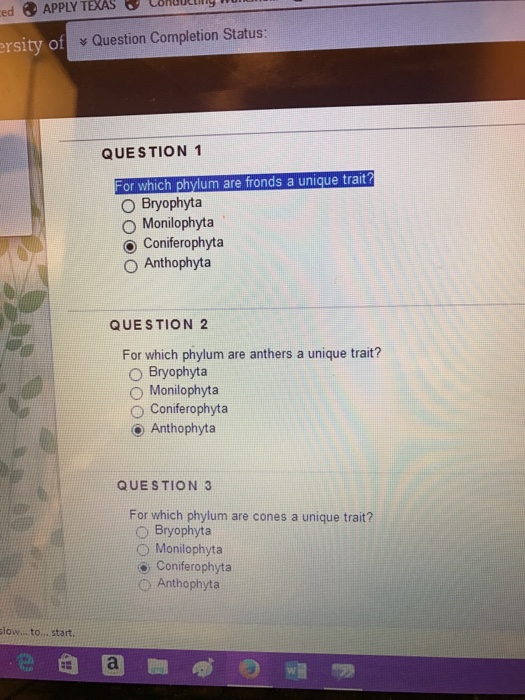 Solved For which phylum are fronds a unique trait Bryophyta | Chegg.com