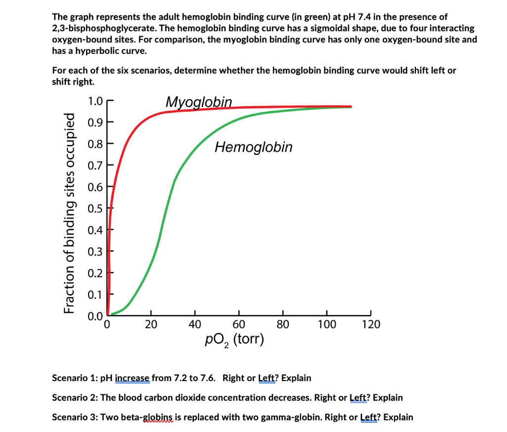 Solved The graph represents the adult hemoglobin binding | Chegg.com