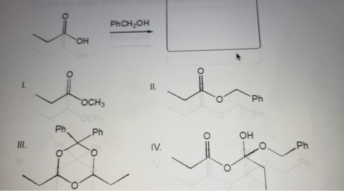 Solved Choose the major product from this reaction. Assume | Chegg.com
