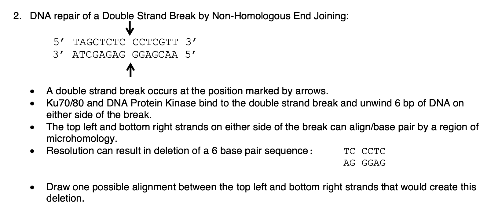 Solved 2. DNA repair of a Double Strand Break by | Chegg.com