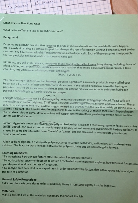 Solved I need help on my lab analysis. My lab is about | Chegg.com