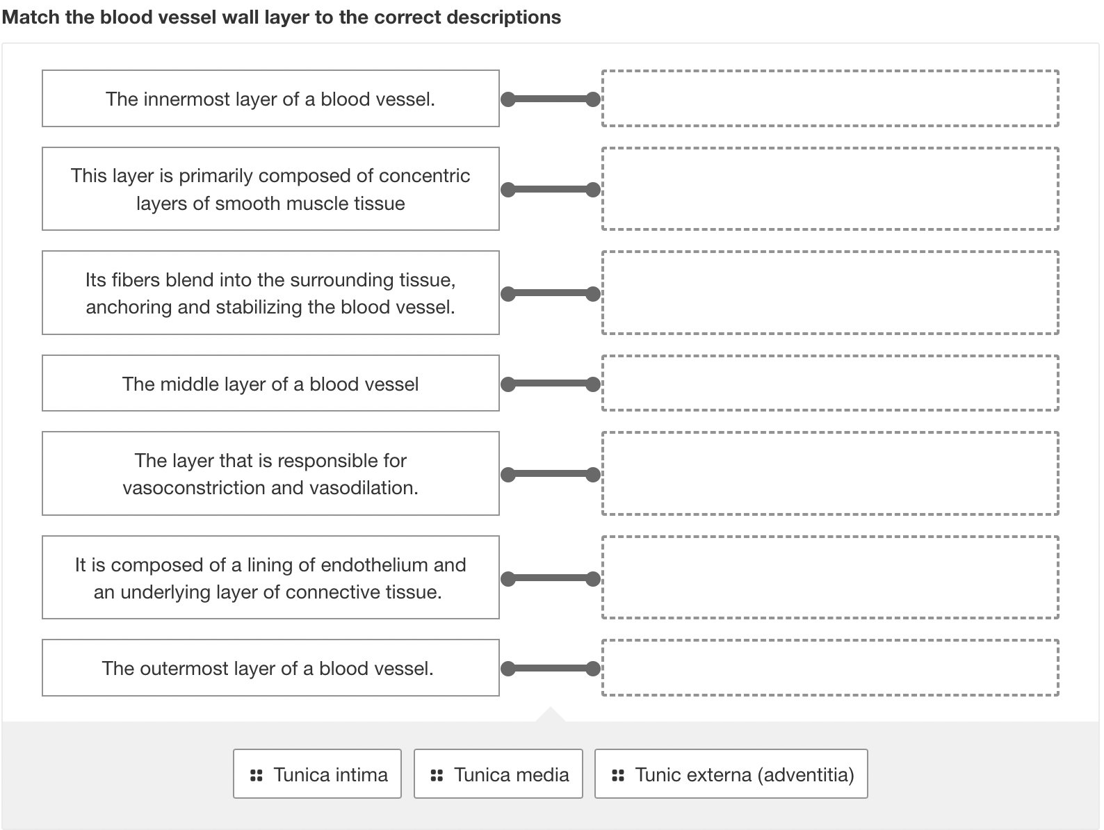 Solved Match the blood vessel wall layer to the correct | Chegg.com