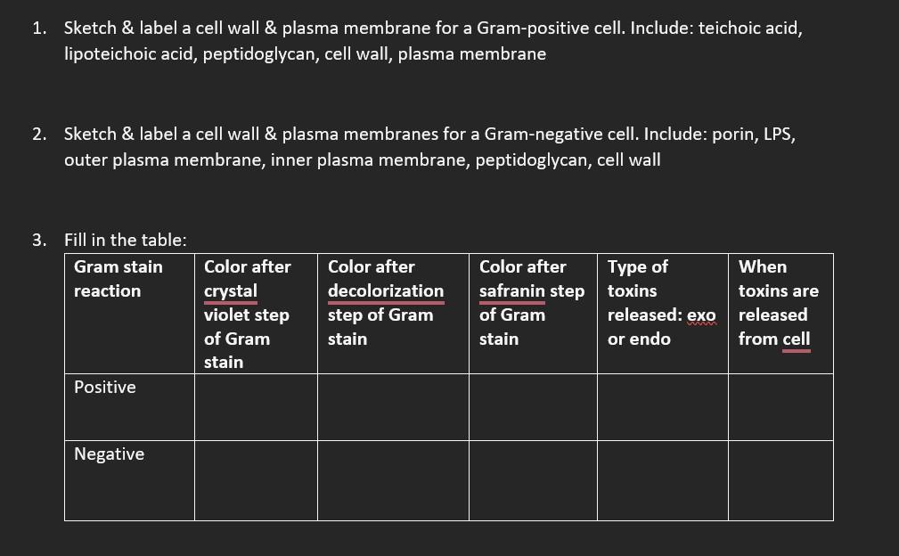 Solved 1. Sketch \& label a cell wall \& plasma membrane for | Chegg.com