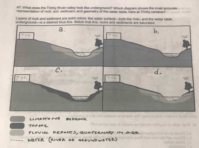 Solved 47. What does the Trinity River valley look like | Chegg.com