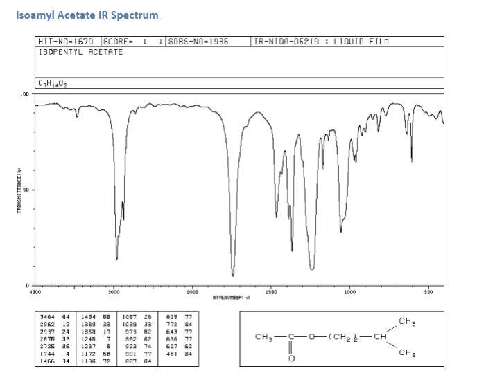 Solved Isoamyl Acetate IR Spectrum HIT-NO=1670 SCORE- | Chegg.com