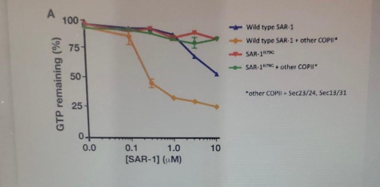 Solved Sar1 is a small GTPase involved in membrane budding | Chegg.com