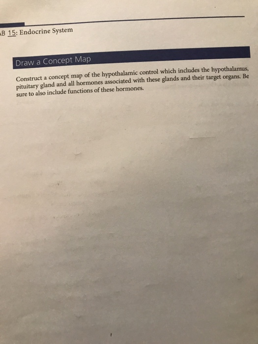 Solved 15: Endocrine System Draw a Concept Map Construct a | Chegg.com