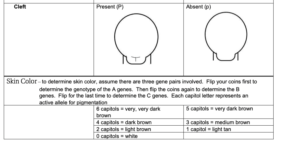 Solved Lab Genetics Let's Make a Baby! Congratulations on | Chegg.com