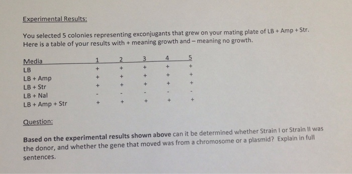 Solved Experimental Results: You selected 5 colonies | Chegg.com