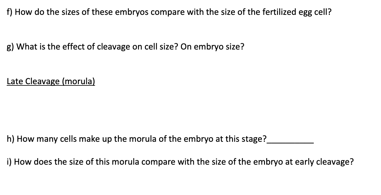 Solved Draw and label each of the stages indicated below, | Chegg.com