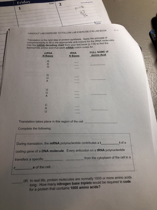 Solved 18 6 Handout Lab Exercise To Follow Lab Exercise 6 In 4275