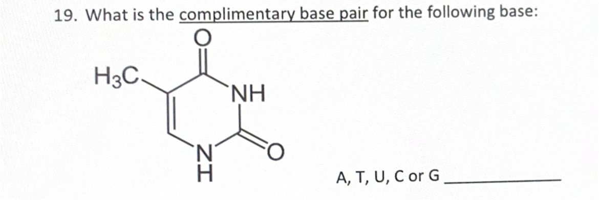 Solved 19. What is the complimentary base pair for the | Chegg.com