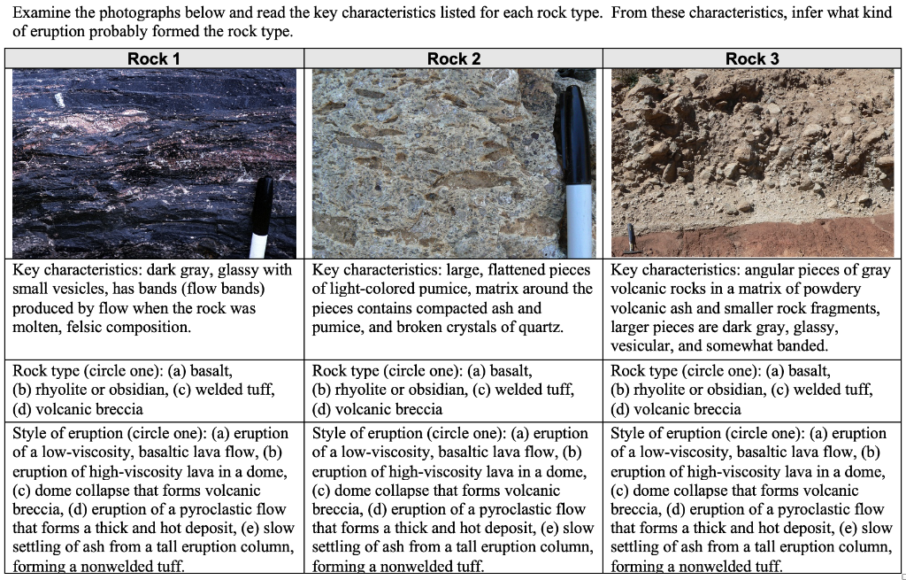 Solved Examine the photographs below and read the key | Chegg.com