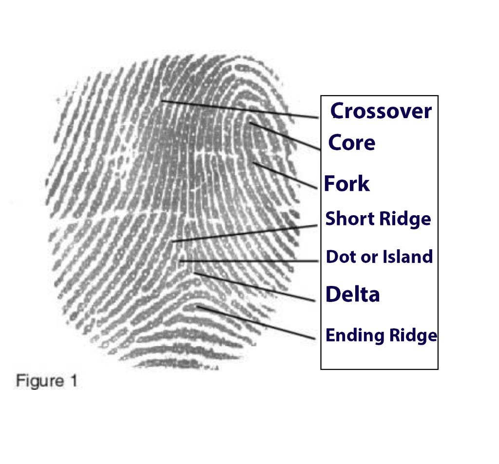 Solved Need help with these Questions Describe the type of | Chegg.com