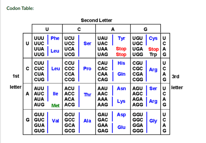 Solved Use the codon table (below) ﻿to help you answer the | Chegg.com