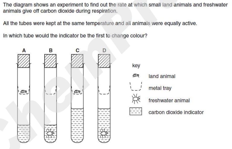 Solved The diagram shows an experiment to find out the rate | Chegg.com