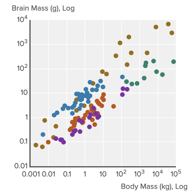 Solved A researcher measured the body and brain mass of a | Chegg.com