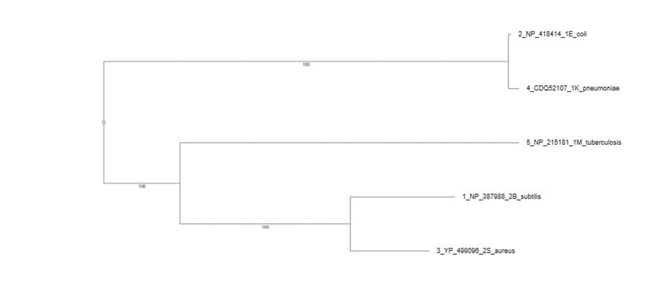 Solved comment on this tree | Chegg.com