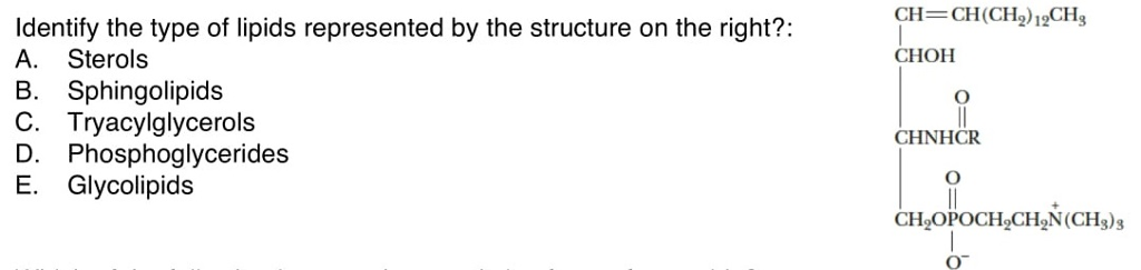 Solved CH-CH(CH2)12CHg Identify the type of lipids | Chegg.com