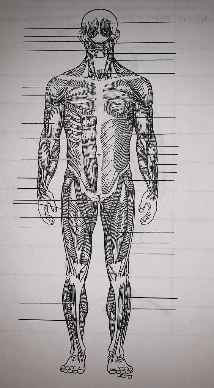 Solved locido (2222 s.goy | Chegg.com