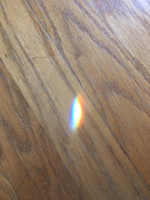 Solved Using a rainbow from ONE of your procedures, can you | Chegg.com