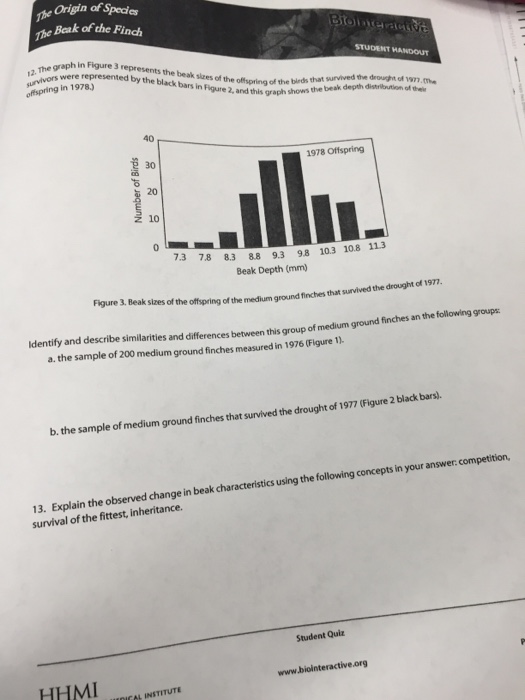Solved he Origin of Spe the Beak of che Finch STUDENT | Chegg.com