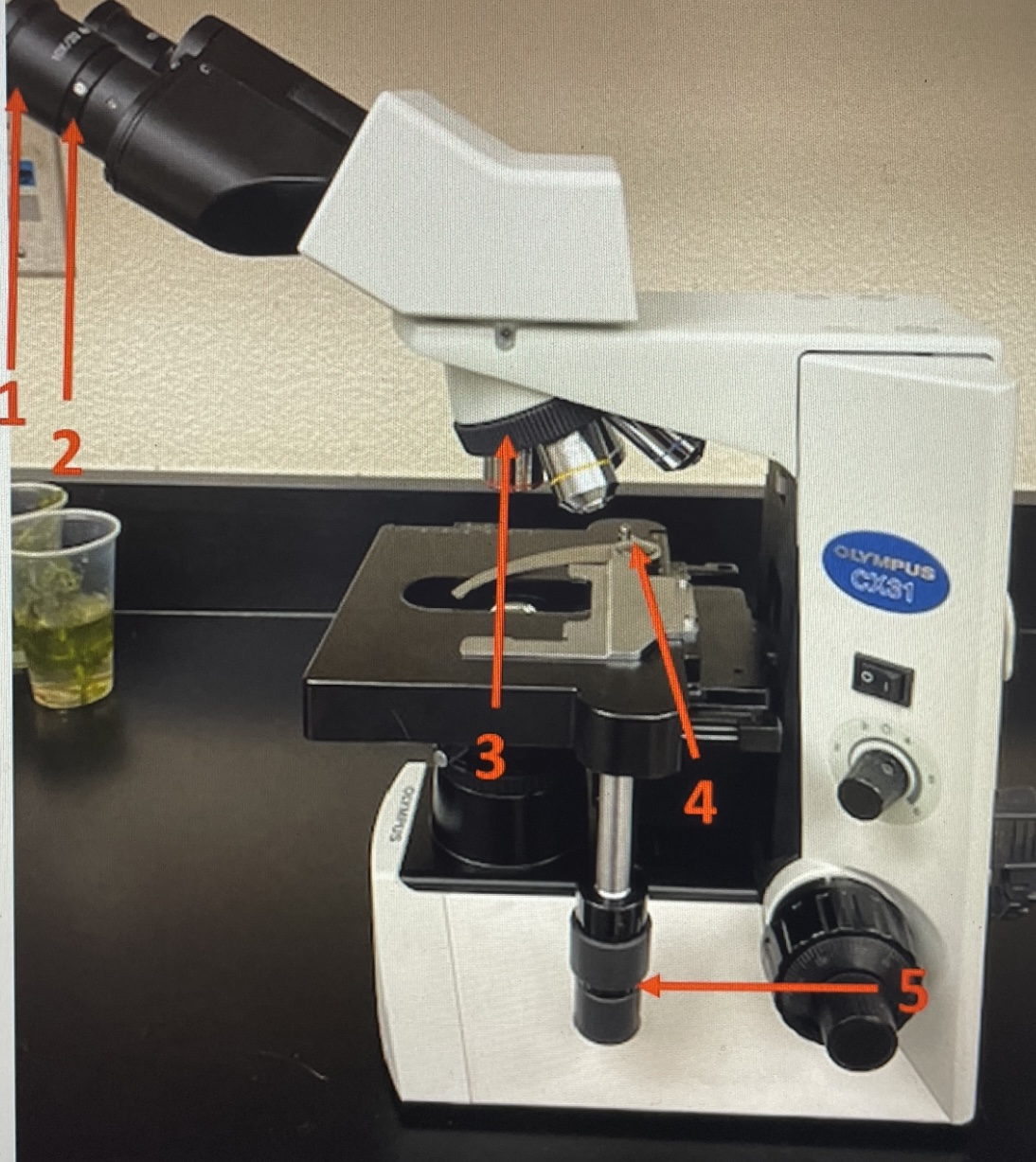 Solved What are the name and functions of each number | Chegg.com