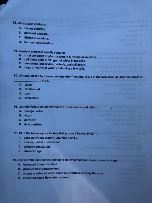 Fibrinous Exudate