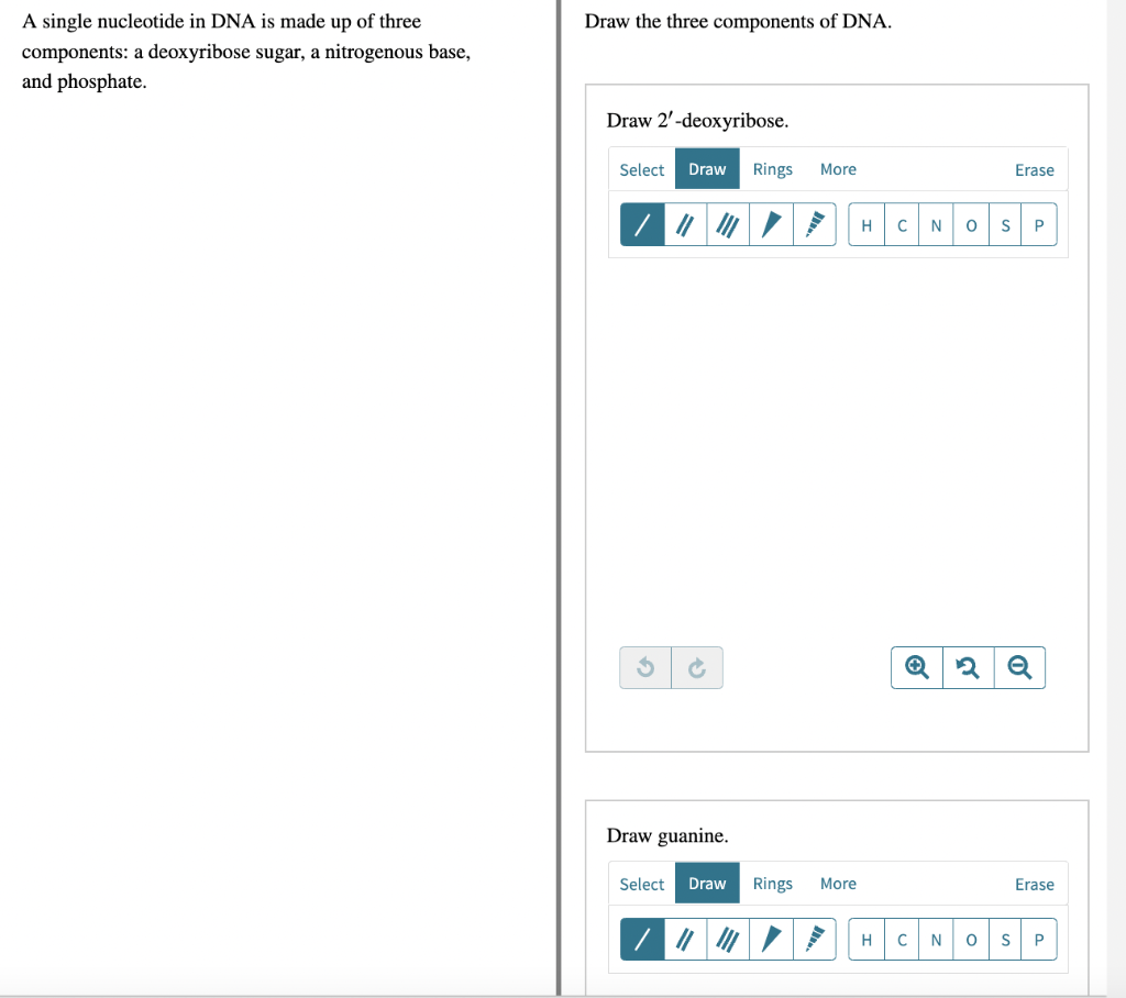 Solved The nucleotides adenosine-5'- monophosphate (A) and | Chegg.com