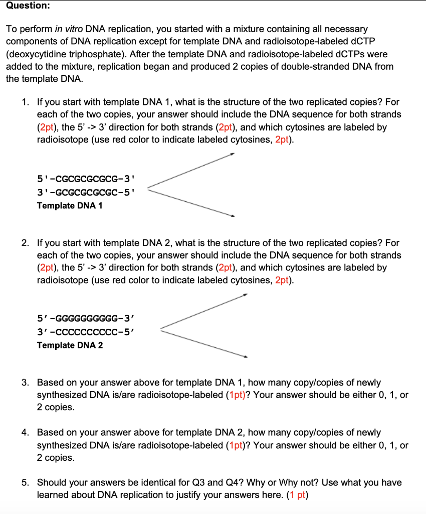 Solved Question: To perform in vitro DNA replication, you | Chegg.com