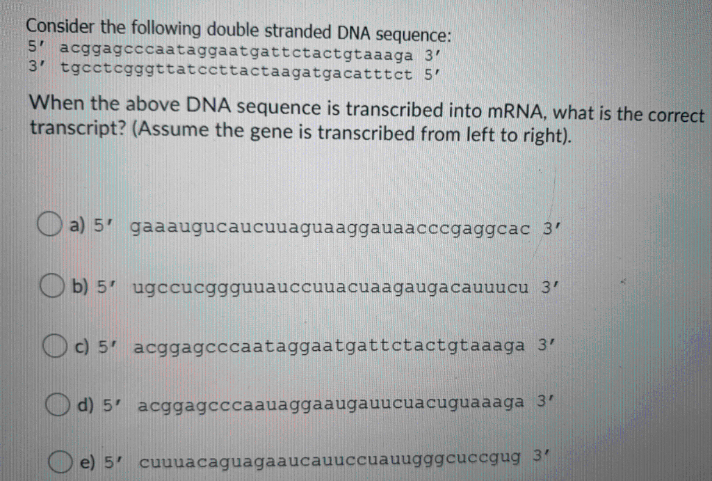 Solved Consider the following double stranded DNA sequence: | Chegg.com