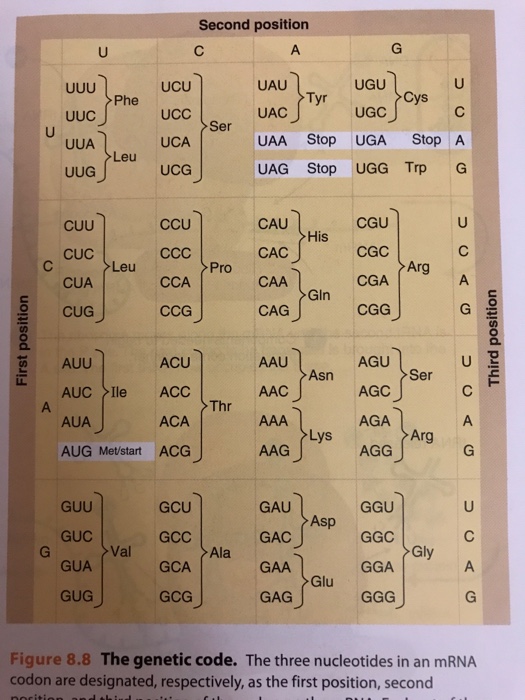 Solved Name: BI 232 Genetics assignment worksheet 1. Compare | Chegg.com