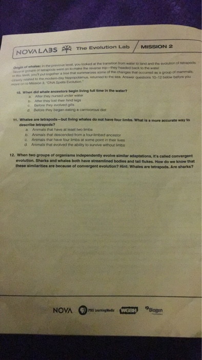 NOVA L 35斗々 The Evolution Lab / MISSION 2 ooked at | Chegg.com