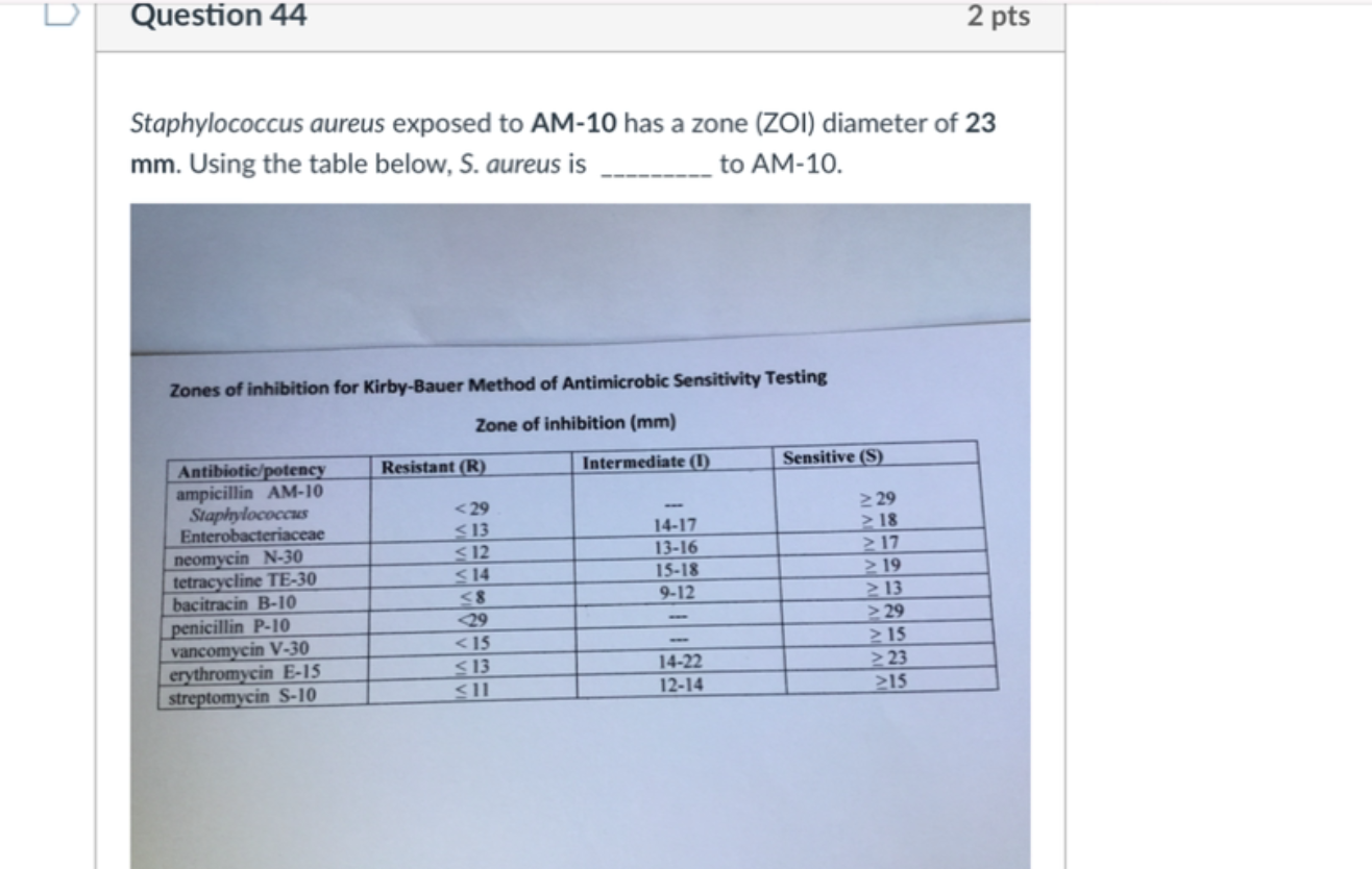Solved Staphylococcus aureus exposed to AM−10 has a zone | Chegg.com
