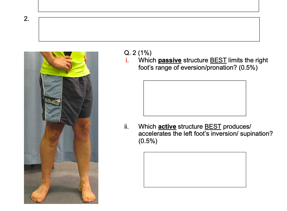 Solved Q. \2(1 i. Which passive structure BEST limits the | Chegg.com
