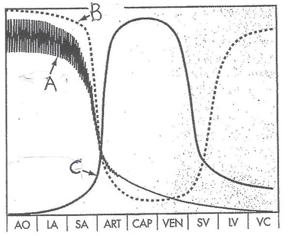 Solved Thank you in advance! A) Using the Bainbridge reflex, | Chegg.com